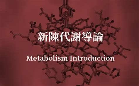 Metabolism Introduction