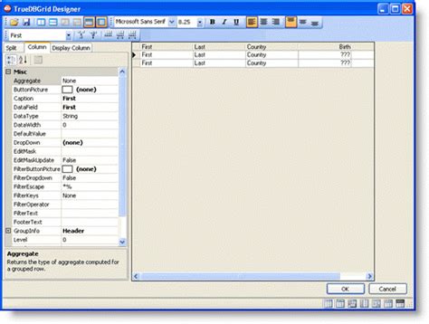 Using The C1TrueDBGrid Designer