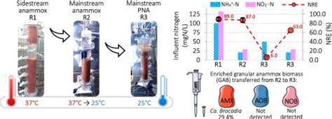 温暖气候地区的颗粒厌氧氨氧化生物质：探索从侧流过渡到主流厌氧污水处理的可行性journal Of Water Process