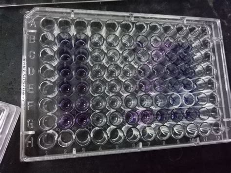 36 Questions With Answers In Colorimeter Science Topic