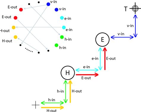 Figure 1 From Causal Connectivity Of Evolved Neural Networks During Behavior Semantic Scholar