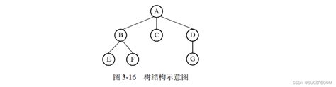 软考中级 软件设计师(三)数据结构 考点最精简软件设计师中级数据结构 Csdn博客 软考中级 软件设计师(三)数据结构 考点最精简软件设计师中级数据结构 Csdn博客