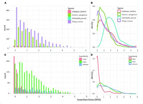 Ages Of Intact Ltr Rts In The Genomes Of T Arvense And Other Three