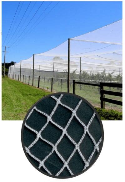 Orchard Netting Protect Your Fruit Orchard Eyouagro