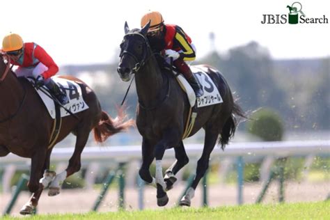 シャフリヤール「菊花賞」なら競馬界最大の謎に挑戦：【週末gj人気記事総まとめ】 Gj