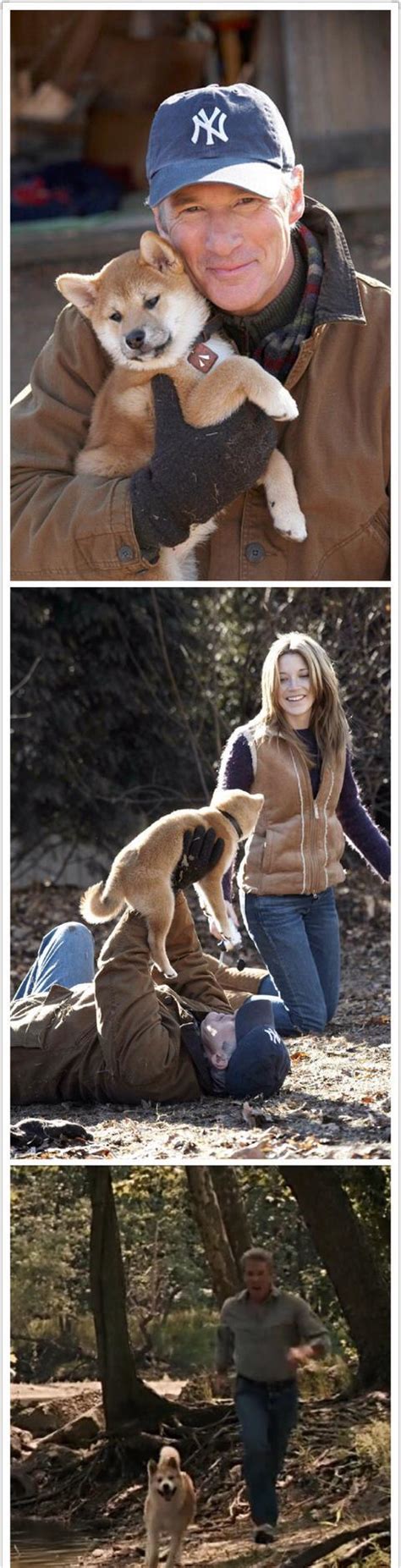忠犬八公人与动物之间感人至深的故事 忠犬八公 教授 故事 新浪新闻