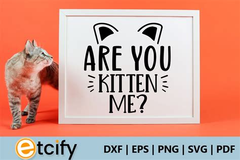Are You Kitten Me Svg Graphic By Etcify · Creative Fabrica