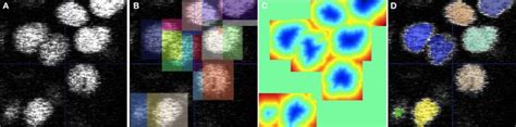 Cell Segmentation Using Multiple Level Sets Defined On Subsets Of The