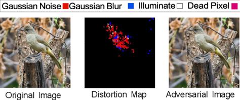 Robustness And Visual Explanation For Black Box Image Video And Ecg