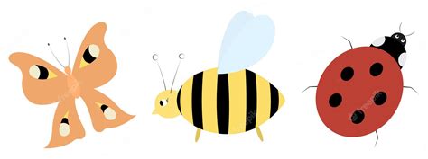 Mariposa Mariquita Abeja Insectos En Estilo Plano Vector Premium