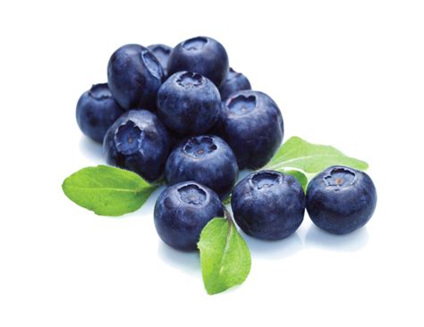 Blueberry PNG File PNG Mart