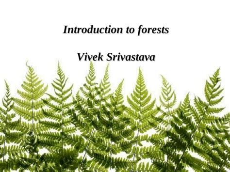 Ppt Forest Classification Dokumentips