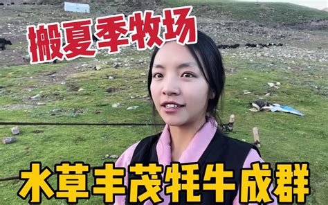 藏族姑娘的游牧生活夏季水草丰茂牦牛成群挤一大桶奶去做酥油 西藏 藏族 牧区生活 那曲拉姆 那曲拉姆 哔哩哔哩视频