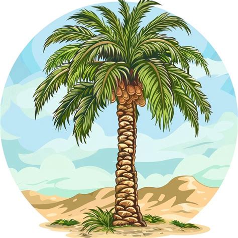 29 000 Palm Date Tree Pictures