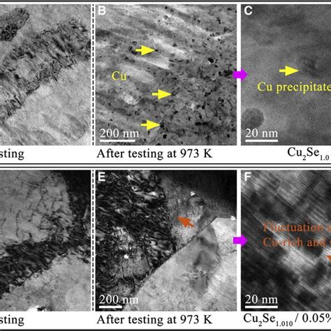 Ex Situ Microstructure Evolution Download Scientific Diagram