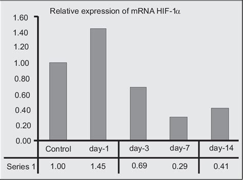 Relative Expression Of Hif 1α Mrna In Liver Of Rat Induced By Systemic
