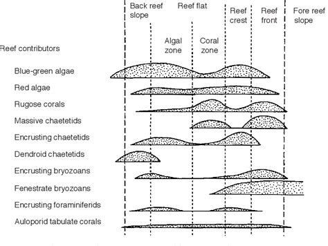 Table 18 From Functional Morphology Of The Fossil Hypercalcified
