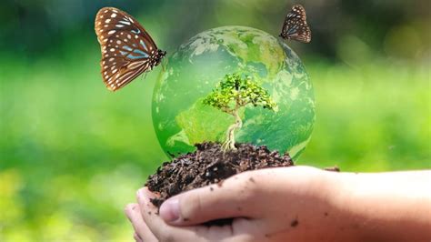 Biodiversity Quiz Quiznow