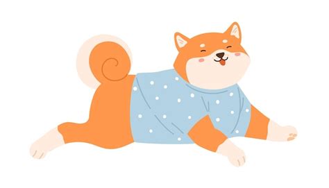 잠옷에 누워 Shiba Inu 품종의 귀여운 카와이 개 졸린 사랑스러운 아키타 강아지가 쉬고 있습니다 흰색 배경에 고립 된