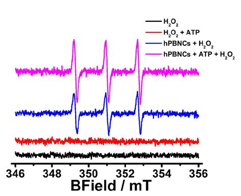 Fig S8 Characterization Of 1 O 2 Signal Using Esr Spectral Method Download Scientific Diagram