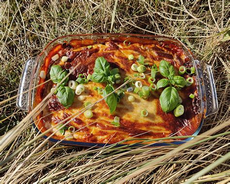 Lasagne Med Gr Nsager Og Plant Mate Plant Mate