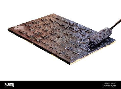 The Application Of Ink On A Vintage Printing Press Isolated On A White