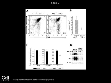 Ikkβ Is Essential For Protecting T Cells From Tnfα Induced Apoptosis