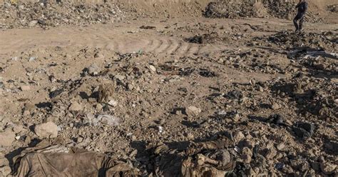 Hallada En Irak Una Fosa Con Catorce Cuerpos De Víctimas Del Grupo
