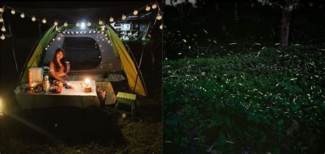 浪漫指數爆表！全台絕美螢火蟲露營地top5 Havbeat運動線上課程