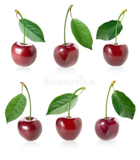 Cherry Set Stock Image Image Of Aroma Freshness Food 14429917