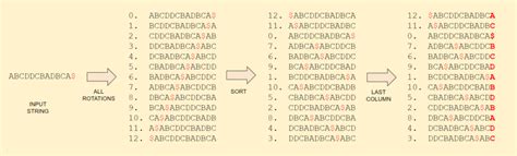 Burrows Wheeler Transform