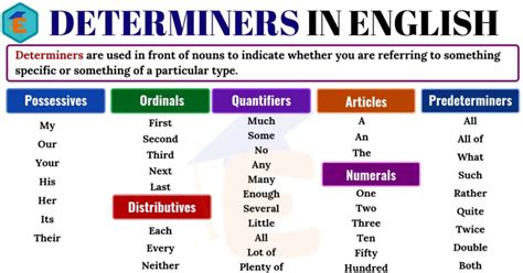 Determiners Definition Useful List And Examples In English English