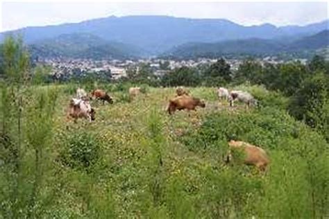 62 годишна получи условна присъда за неверни данни пред ДФ земеделие Български Фермер