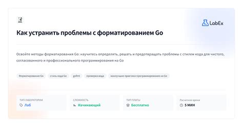 Как устранить проблемы с форматированием Go Labex
