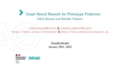Graph Neural Network For Phenotype Prediction Pdf
