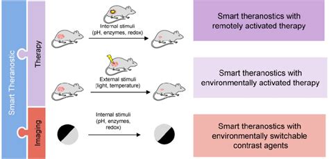 Schematic Of The Different Classifications Given To Smart Theranostic
