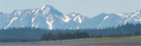 Sap Vim Masterclass Step By Step To Sap Vim Expertise With Real