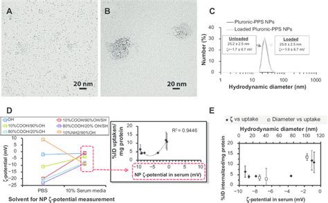 Effects Of Nanoparticle Surface Charge And Chemistry On Macrophage