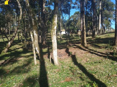 Chácara para Venda em Lagoinha Tijucas do Sul PR Ref 0414