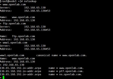 DNS服务正反向解析 CSDN博客