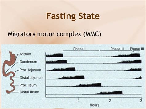 Gastrointestinal Motility Ppt Video Online Download