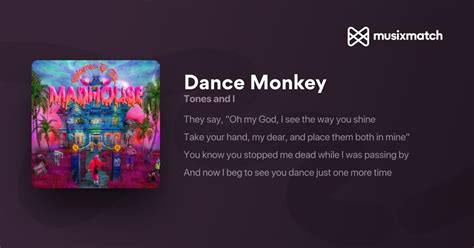 Tones And I Dance Monkey Übersetzung In Deutsch Musixmatch