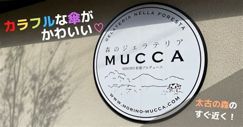 香川三木町太古の森のすぐ近くMUCCAムッカジェラート カフェ カラフルな傘 四国お出かけスポット