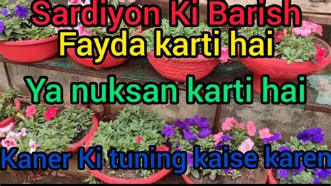 Sardiyon Ki Barish Fayda Karti Hai Ya Nuksan Karti Haiyoutube Video