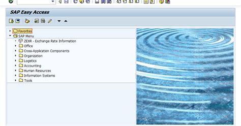 Abap Tip Note Abap Tip Check Authority Error Su53