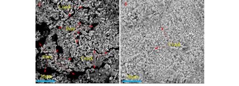 Scanning Electron Micrographs Of The Untreated Sample A And C3