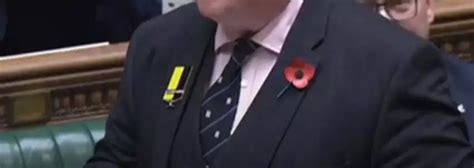 What Are The Badges Mps Are Wearing Today Badges Uk