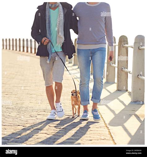 Im Taking These Guys For A Walk A Young Gay Couple Enjoying A Walk On