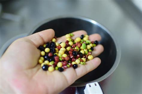 別只用黃豆做豆漿了加了這幾種豆子豆漿更營養早餐就愛它 每日頭條