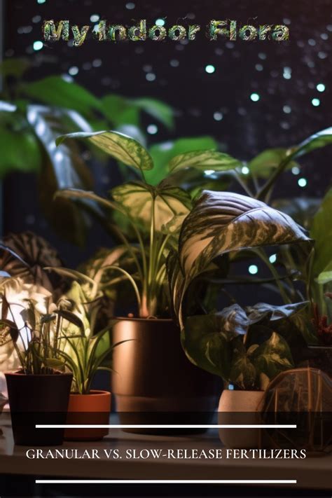 Granular And Slow-Release Fertilizers For Indoor Plants